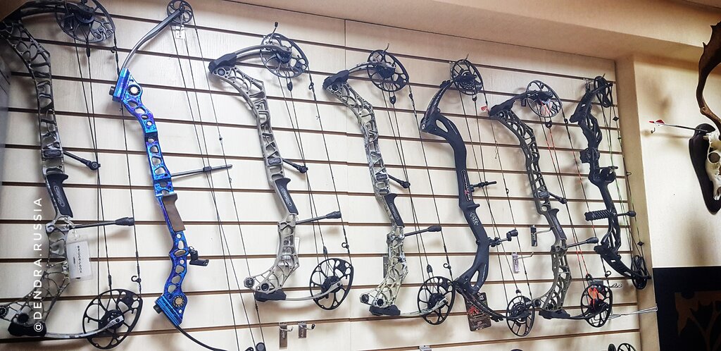 Fitness ve spor ekipmanı firmaları Dendra, Moskova, foto