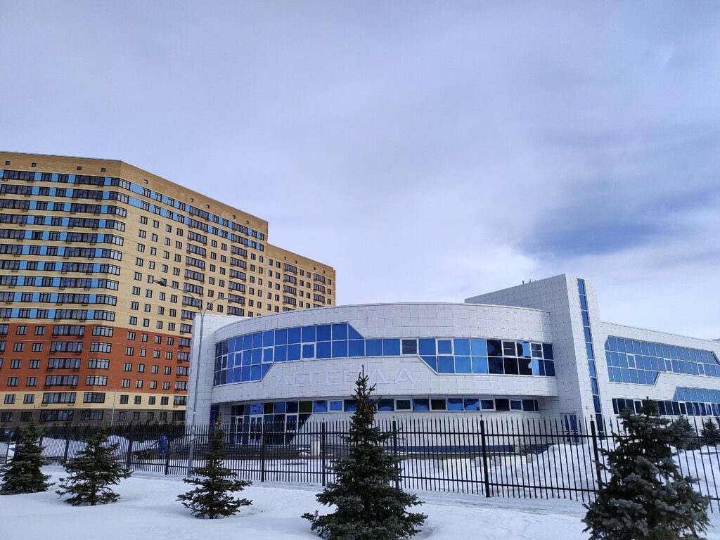 Spor kulüpleri Fetisov Hockey Academy, Domodedovo, foto