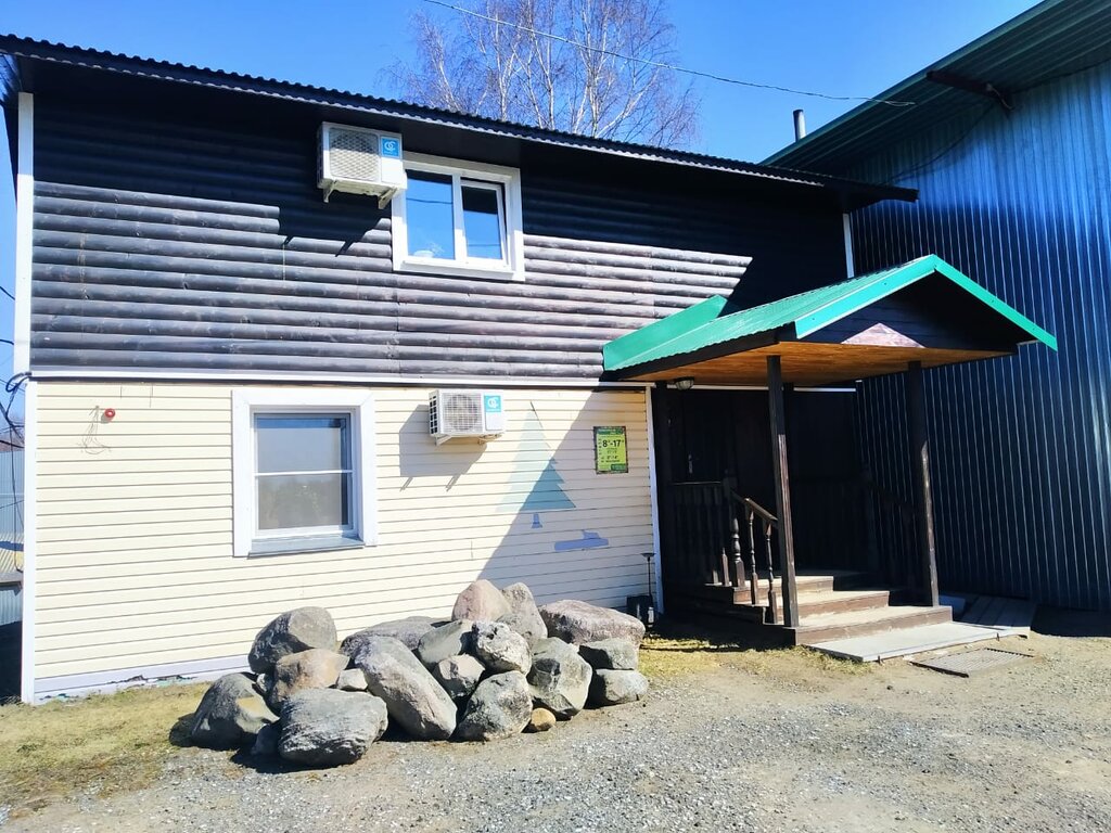 Ahşap endüstrisi Northern Forest, Kirovskaya oblastı, foto