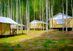 Камчатка (Pskov Region, Pushkinogorsky District, munitsipalnoye obrazovaniye Pushkinogorye, derevnya Petrovskoye), yaz kampı  Pskovskaya oblastından