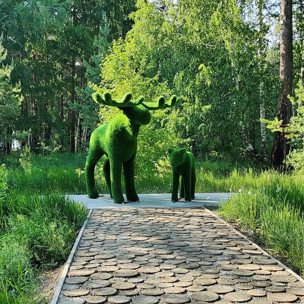 Park, sokak heykeli Лоси, Zareçny, foto
