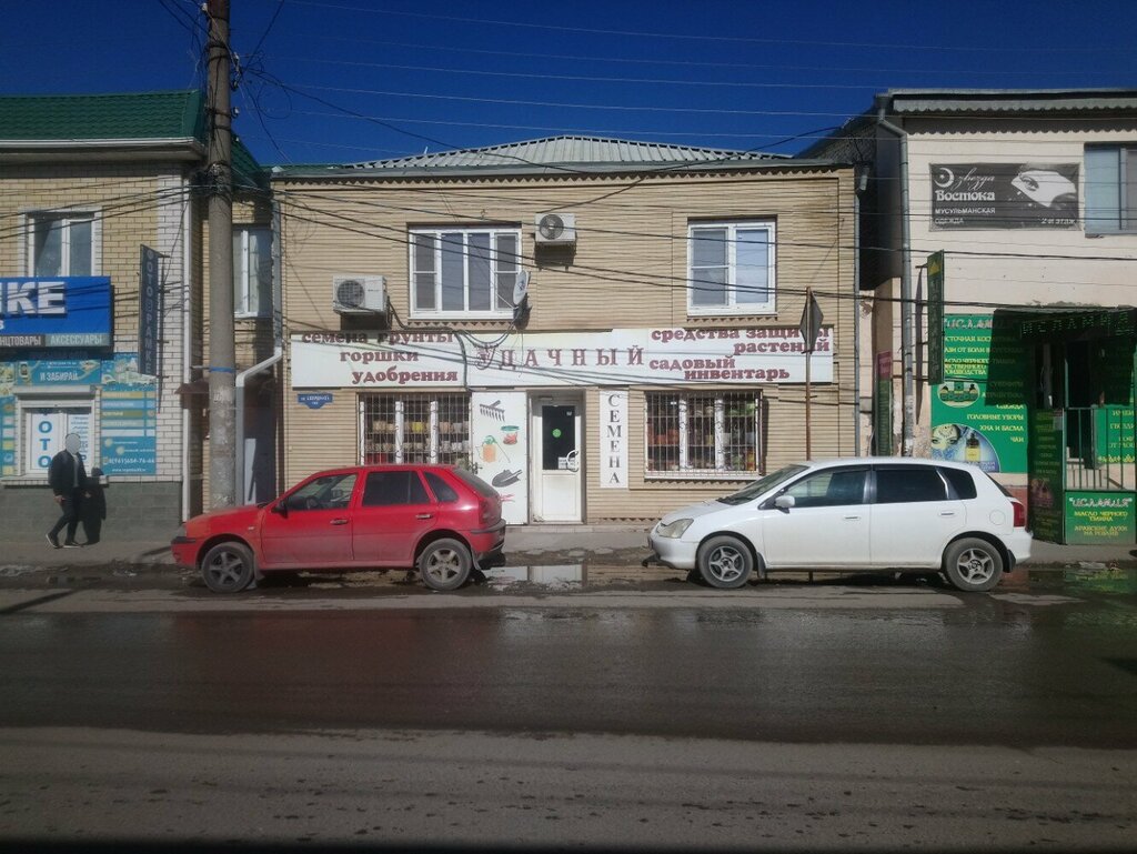 Tohum satan yerler Удачный, Astrahan, foto