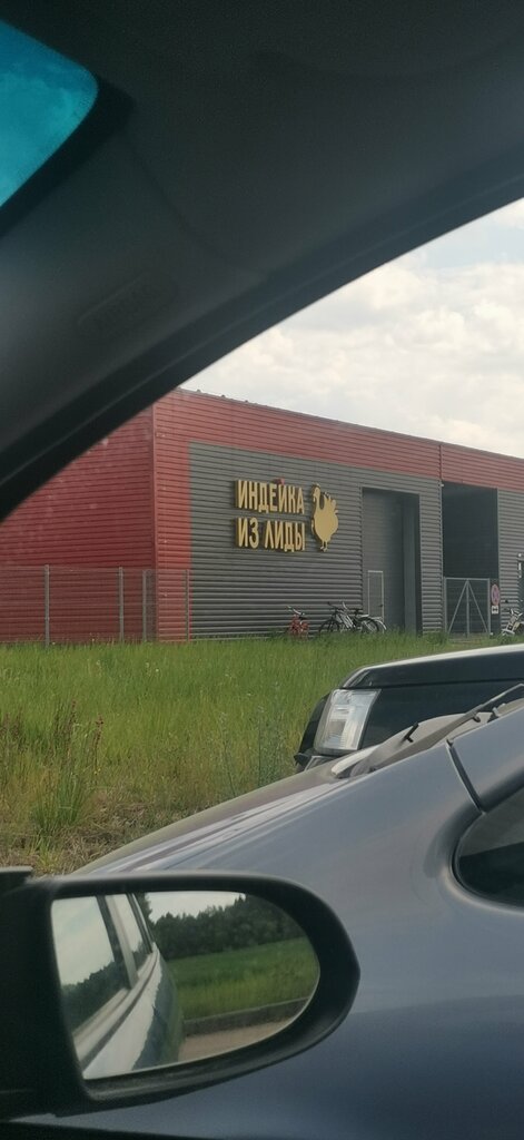 Gıda üreticileri Индейка из Лиды, Grodnenskaya oblastı, foto