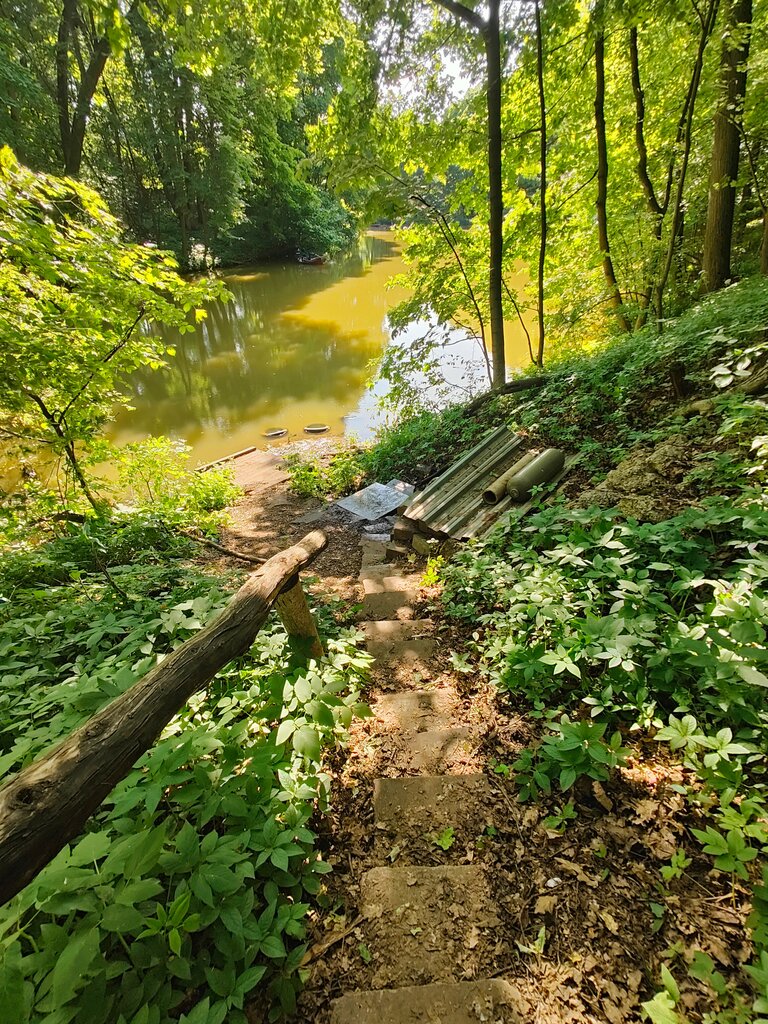 Pınar, çay Spring, stream, Moskova ve Moskovskaya oblastı, foto