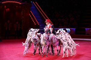Nikulin'in Tsvetnoy Bulvarı'ndaki Moskova Sirki (Tsvetnoy Boulevard No:13), sirkler  Moskova'dan