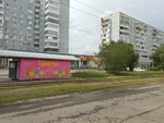 Lotos (Omsk, ulitsa Kotelnikova), çiçekçiler  Omsk'tan