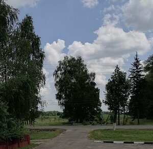 Братская могила (Magiliowski rajon, Daškaŭski sieĺsaviet, Sialiec), anıt, heykel  Mogiliovskaya oblastından