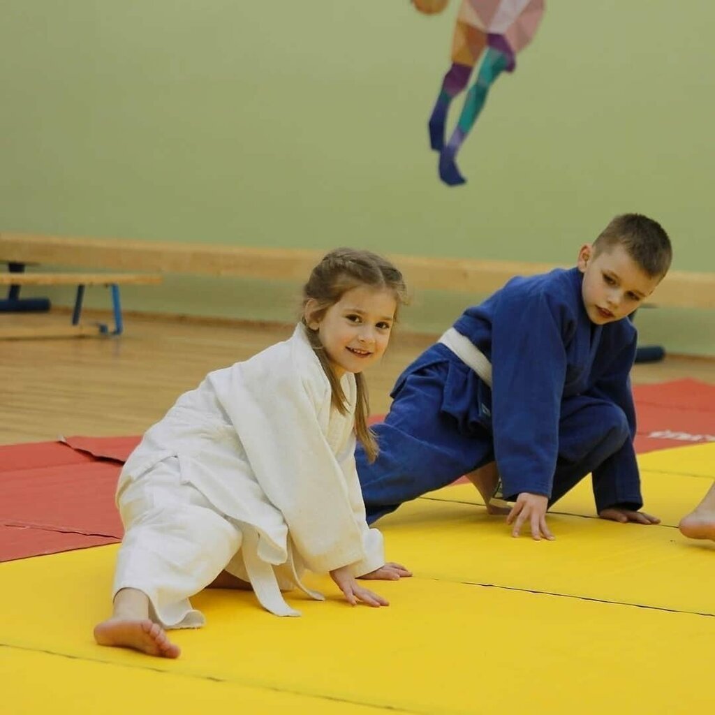 Spor okulları Тигр, Minsk, foto
