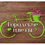 City Flowers (Novosyolov Street No:26Б), çiçekçiler  Riazan'dan