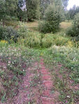 Spring, stream (Udmurtian Republic, Zavyalovskiy rayon, derevnya Bakhtiyary), pınar, çay  Udmurtiya'dan