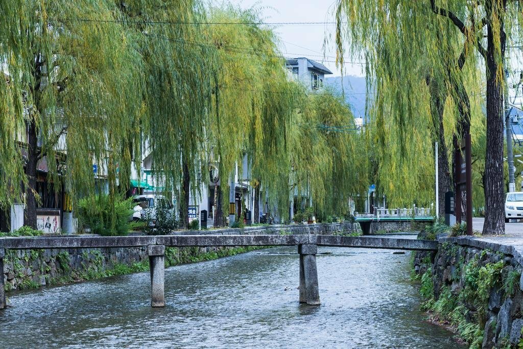 Otel Shirakawa Seiryuan, Kyoto, foto