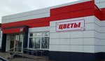 Цветы (ulitsa Gagarina No:18А, posyolok gorodskogo tipa Kamenka), bahçecilik mağazaları  Voronejskaya oblastından
