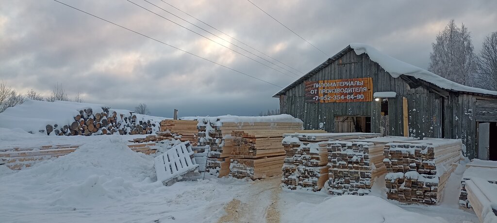 Ahşap endüstrisi Sawmill, Saint‑Petersburg ve Leningradskaya oblastı, foto