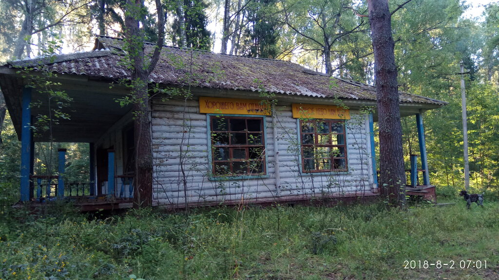 Turistik yerler Пионерский лагерь ИвГРЭС, İvanovskaya oblastı, foto
