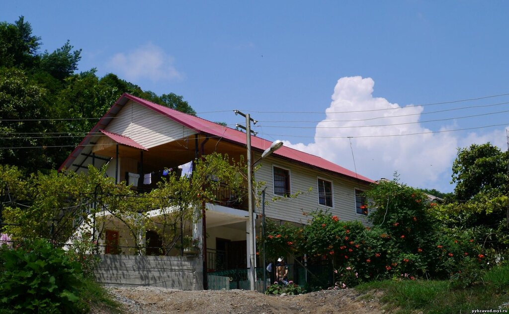 Otel Гостевой дом Апельсиновый рай, Gagra Bölgesi, foto