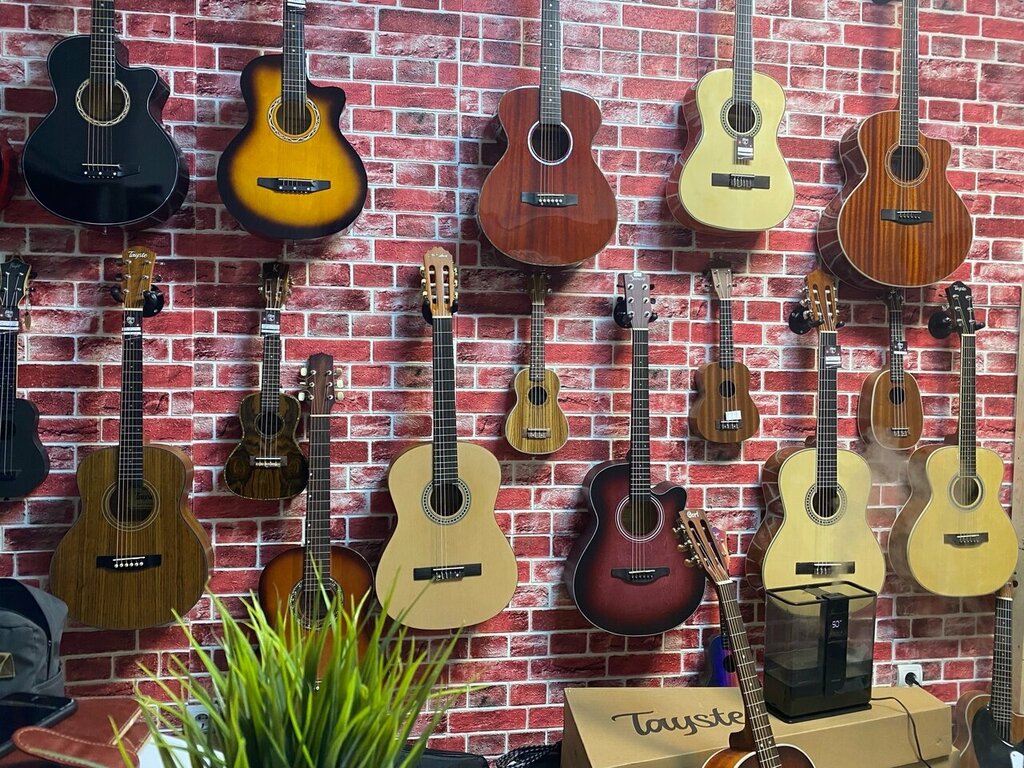 Enstrüman mağazaları Gitaraplay, Novosibirsk, foto