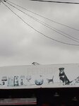 Petshop (Luanda, Estrada da Samba), petshop  Loanda'dan