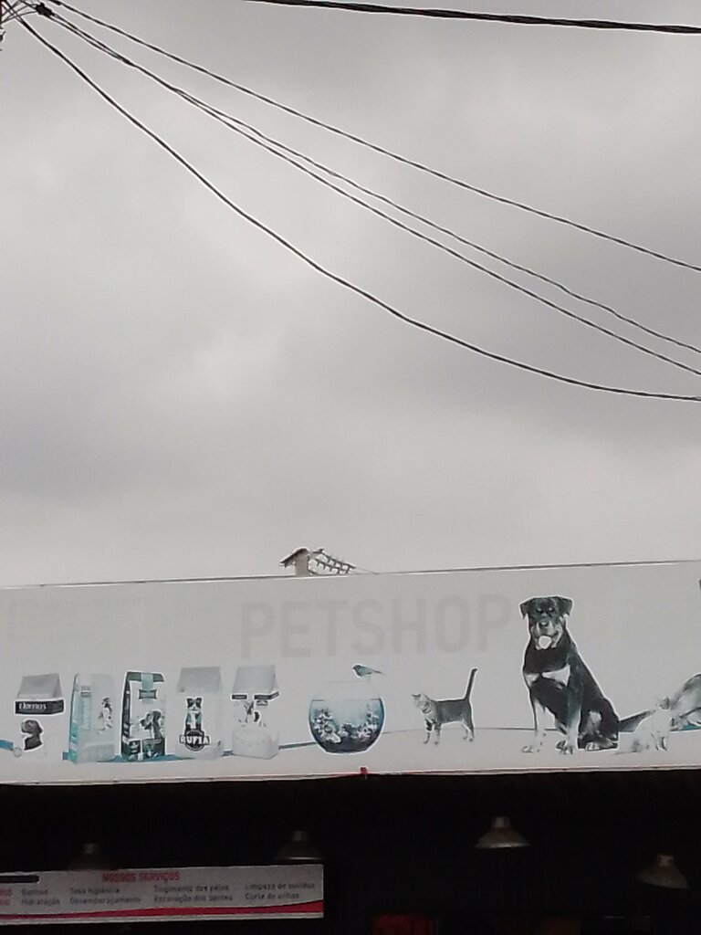 Petshop Petshop, Loanda, foto