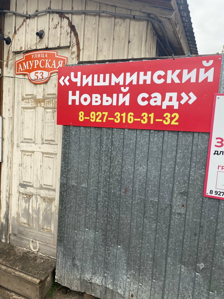 Fidan yetiştiriciliği Chishminsky Novy sad, Ufa, foto