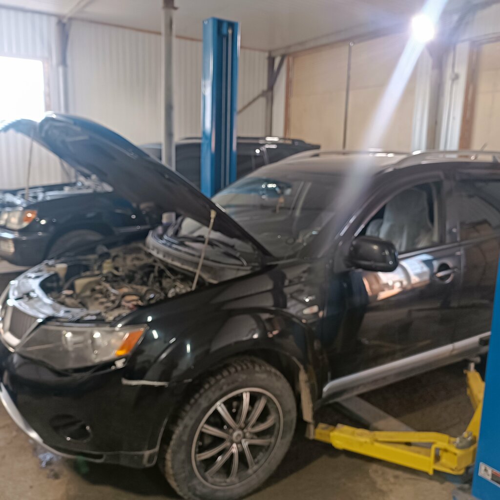 Otomobil servisi Pingwin, Altay Cumhuriyeti, foto