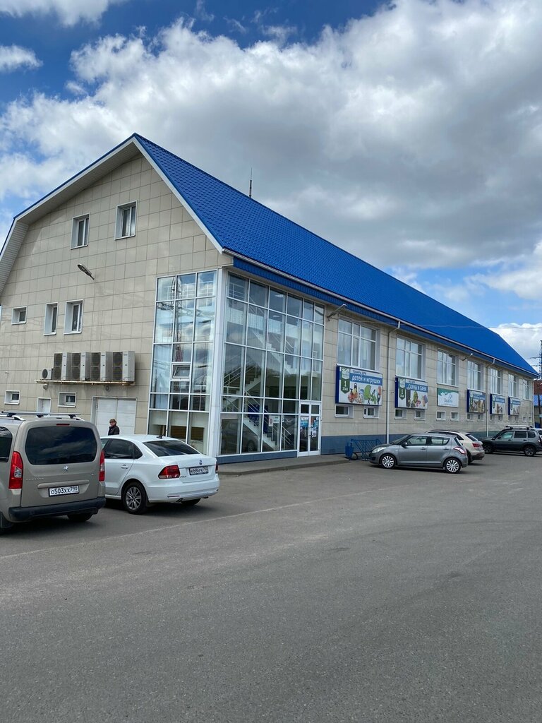 Soba, şömine Cheknev, Moskova ve Moskovskaya oblastı, foto
