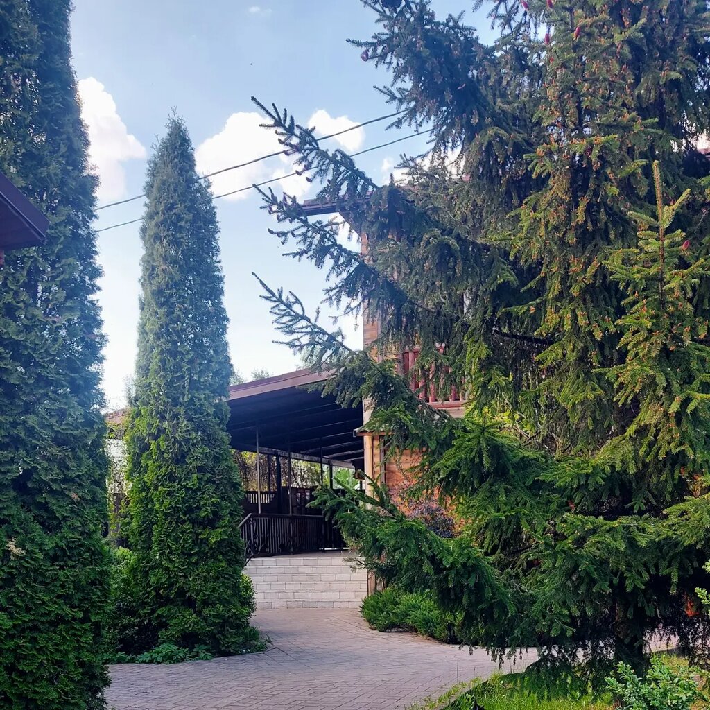 Kafe U Narkuli, Bobruisk, foto
