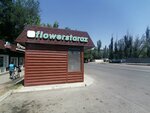 Flowerstaraz (No:48, Qarataý shaǵyn aýdany), çiçekçiler  Taraz'dan
