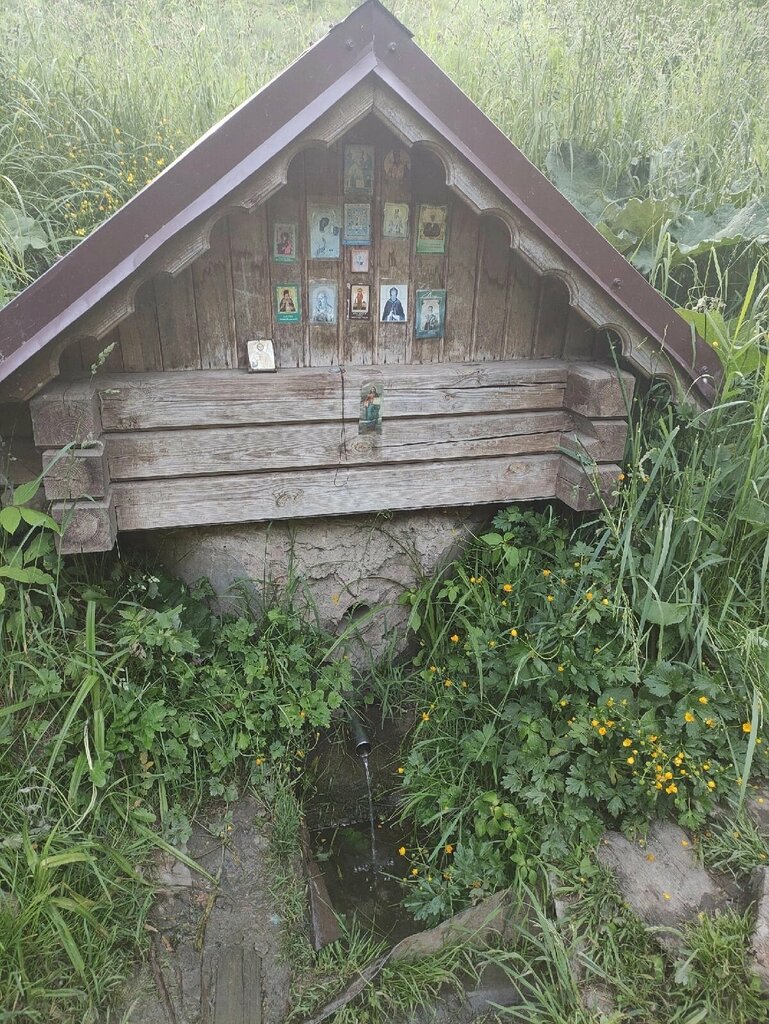 Pınar, çay Spring, stream, Kursk, foto