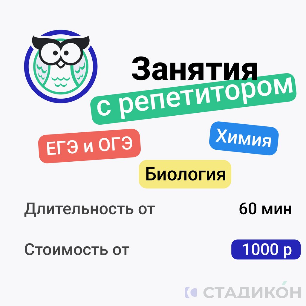 Kurs Studycon, Krasnoyarski krayı, foto