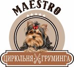 Маэстро (Komsomolskaya ulitsa No:14), evcil hayvan kuaförleri  Berdsk'ten