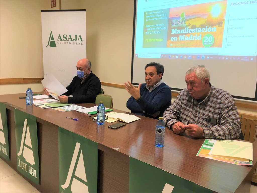 Sivil toplum kuruluşları Asaja Ciudad Real, Ciudad Real, foto