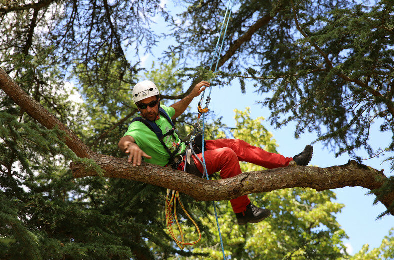 Bahçe ekipmanları ve teknolojileri NaturClimb, Endülüs, foto