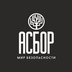 Asbor (Mira Avenue No:69/6, Omsk), güvenlik ve alarm sistemleri  Omsk'tan