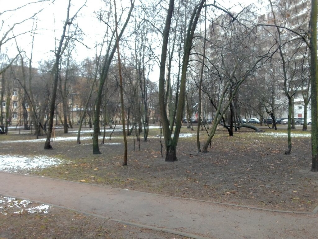 Kültür ve eğlence parkları Анфисин сад, Saint‑Petersburg, foto