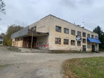 Гудачевский магазин Городок (Sverdlovsk Region, Gornouralskiy munitsipalny okrug, selo Pokrovskoye), market  Sverdlovskaya oblastından