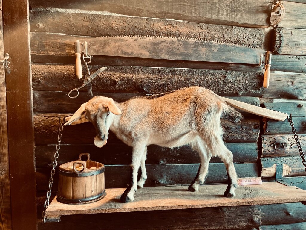 Çiftlik tatili Домик с лошадками, Nijegorodskaya oblastı, foto