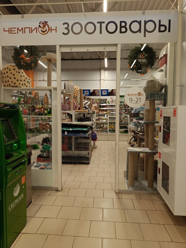Petshop Чемпион, Arhangelsk, foto