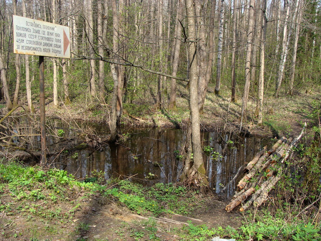 Anıt, heykel Братская могила д. Станки, Kalujskaya oblastı, foto