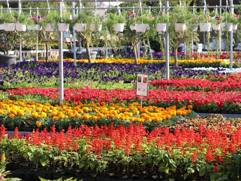 Tarım makineleri, ekipmanlar Wahat Al Sahraa Nurseries, Dubai, foto