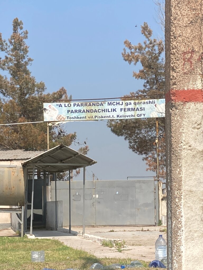 Hayvancılık Almalyk Chemical Plant Poultry Factory, Taşkent eyaleti, foto