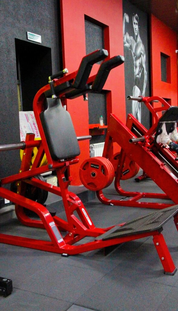 Spor ve jimnastik salonları Golden empire, Seversk, foto