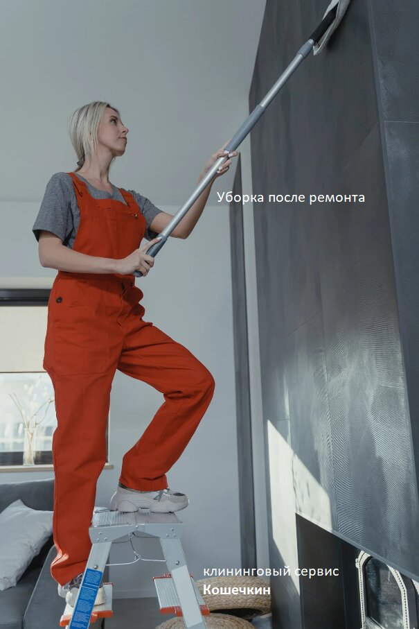 Temizlik şirketleri Koshechkin, Puşkino, foto