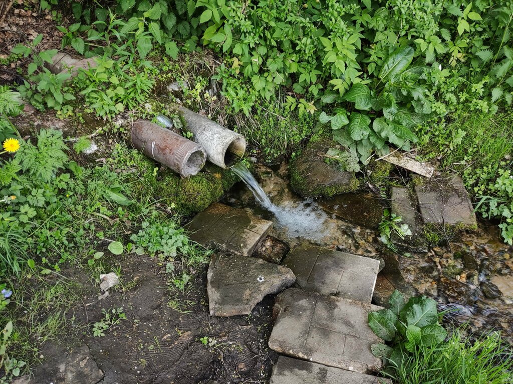 Pınar, çay Spring, stream, Orlovskaya oblastı, foto