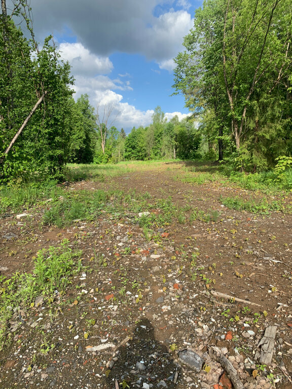 Unutulmaz olayların yeri Пионерский лагерь Горизонт, Moskova ve Moskovskaya oblastı, foto