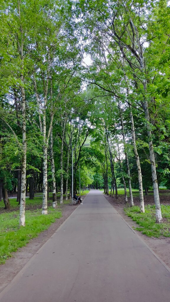 Kültür ve eğlence parkları Davydkovskiy Garden, Moskova, foto