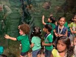 Kidz Mate Nursery - Al Nahda (13/1, Al Ittihad Street, Dubai), anaokulları  Dubai'den