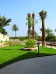 Basatin Landscaping (51, Al Qasr Street, Central District, Al Ain, Abu Dhabi), peyzaj tasarımı
