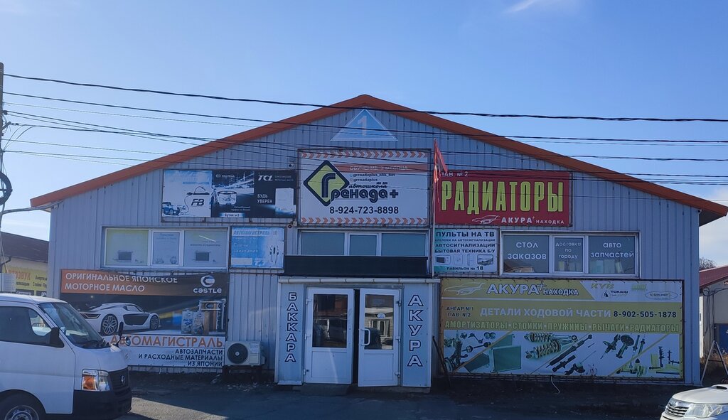 Otomobil yedek parçaları Амортизаторы-пружины, Nahodka, foto