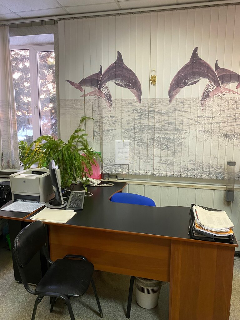 Muhasebeciler Tsentralny Bukhgaltersky Soyuz, Novosibirsk, foto