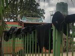 Miyomusa Executive (Lusaka, Burma Road), oto yıkama  Lusaka'dan